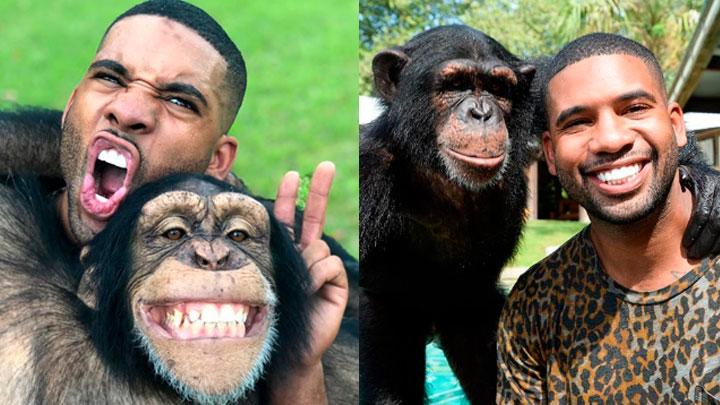 Instagram viral: el sorprendente chimpacé que usa la aplicación, mira ...